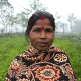 BuckRate - Online Marketplace for Goat and Sheep Sector